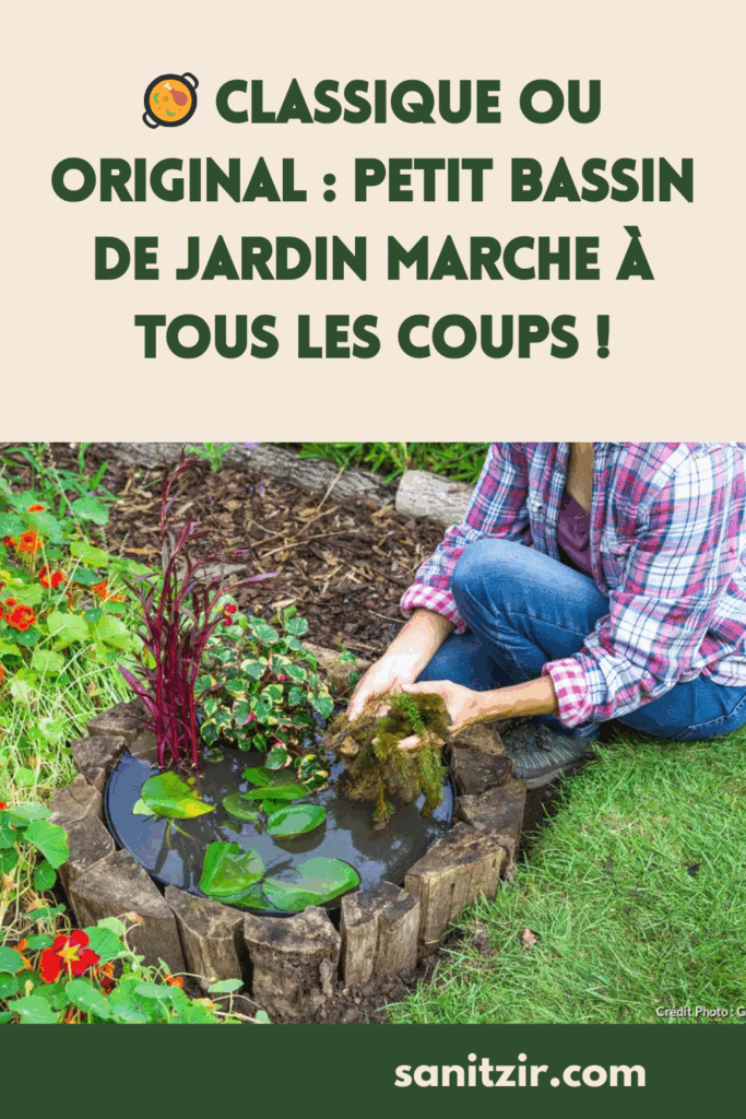 Façons uniques d’utiliser petit bassin de jardin - Ricette e Consigli