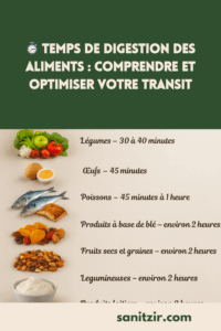 ⏱️ Temps de digestion des aliments : comprendre et optimiser votre ...
