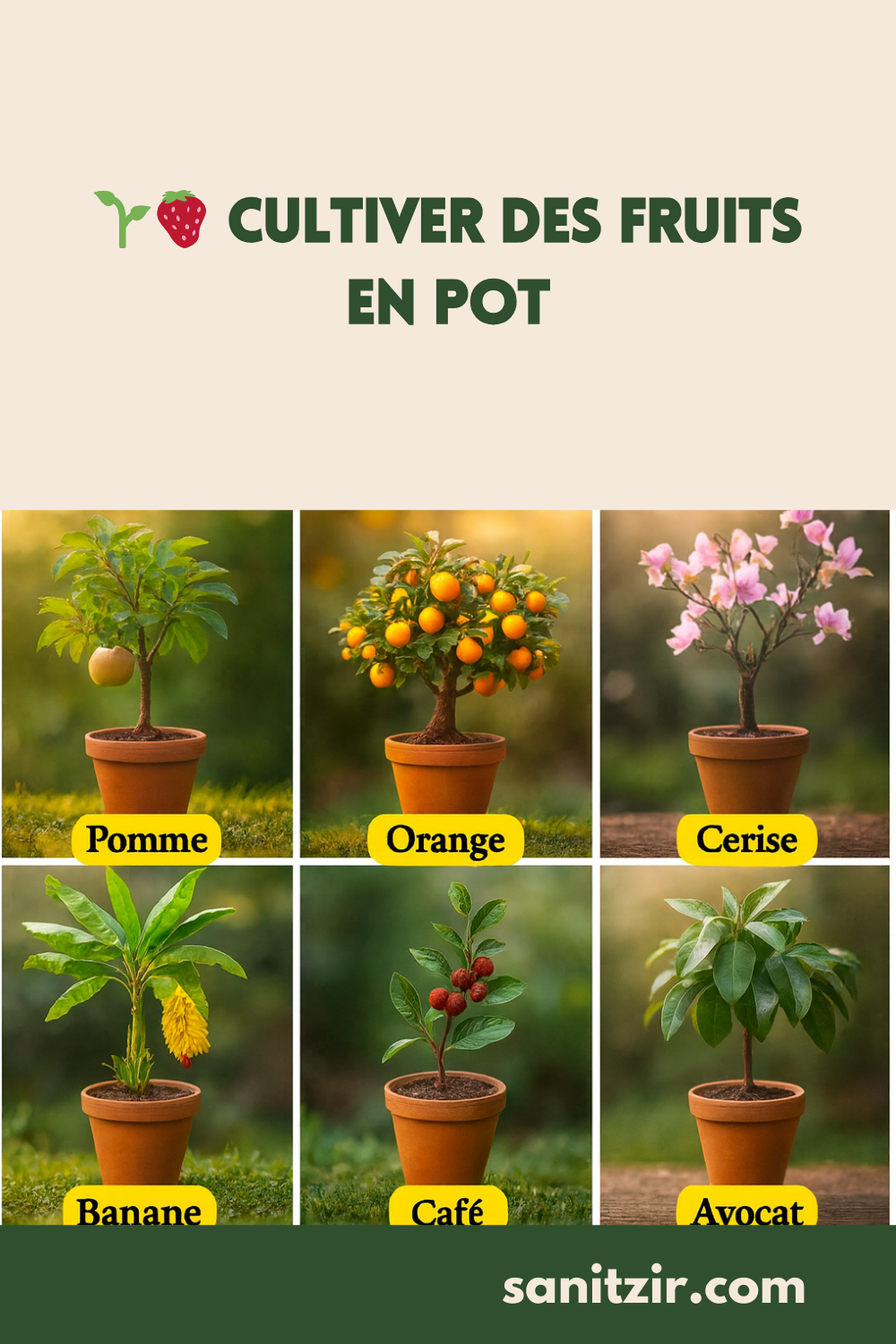 🌱🍓 Cultiver des fruits en pot : les 20 meilleurs fruits à essayer 🍑🪴 ...