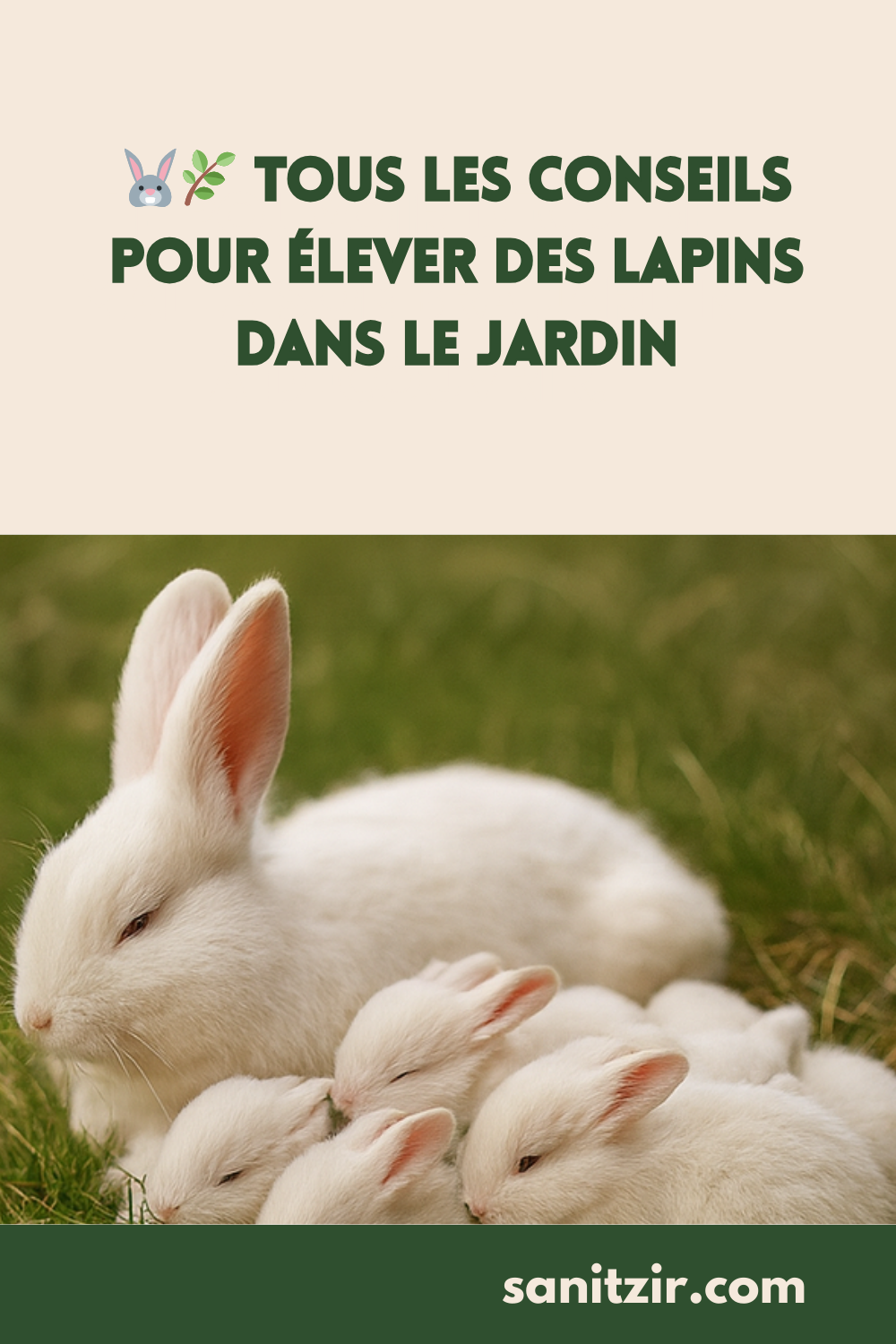 🐰🌿 Tous les conseils pour élever des lapins dans le jardin - Ricette e ...