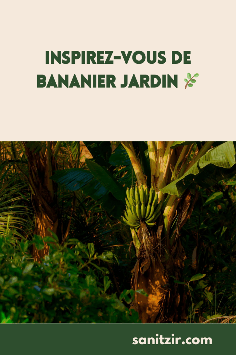 🌿 Transformez votre espace avec bananier jardin - Ricette e Consigli