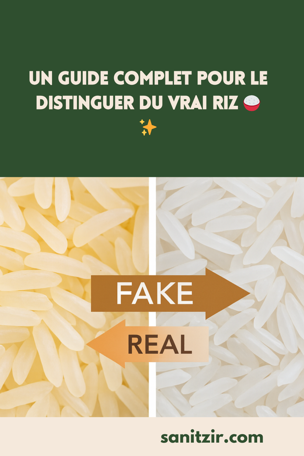 Comment détecter le riz en plastique : un guide complet pour le ...
