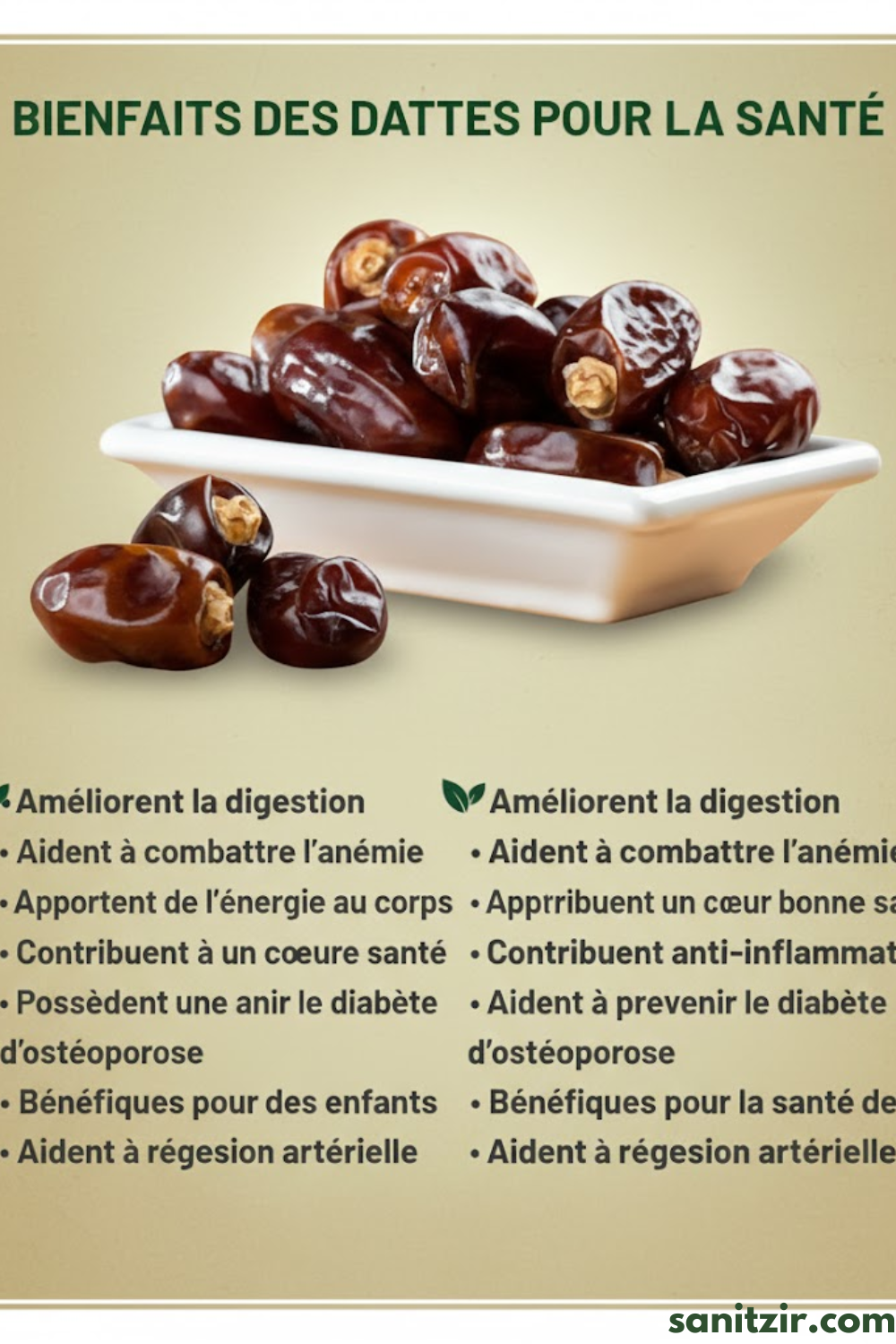 🌴 Bienfaits des dattes pour la santé - Ricette e Consigli