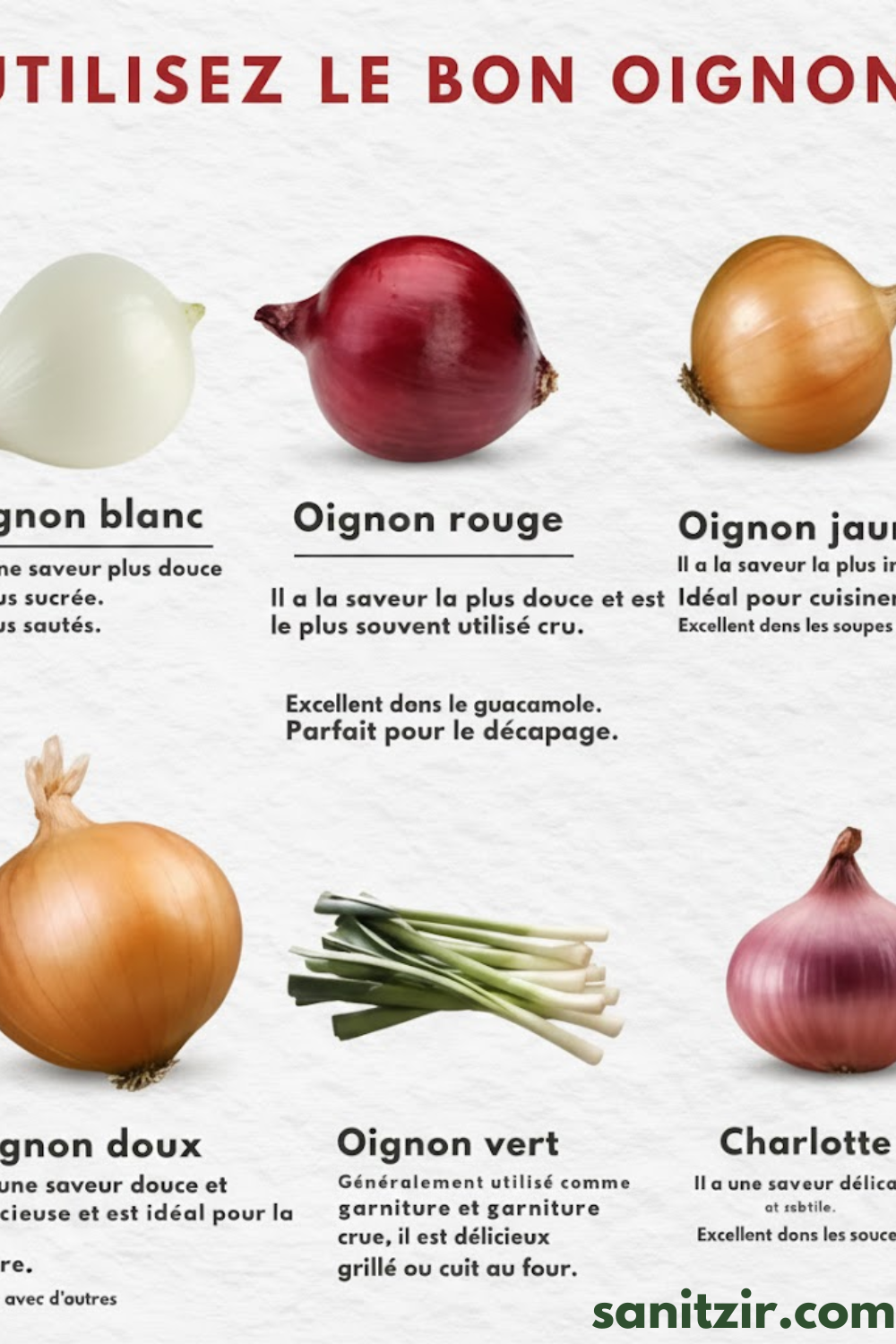 Comment choisir le bon type d’oignon selon vos plats 🧅🍽️ Guide ...