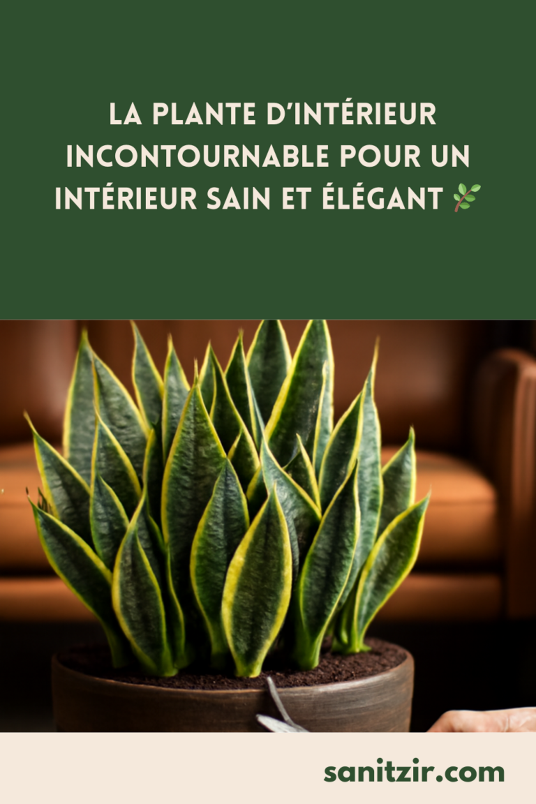 la plante d’intérieur incontournable pour un intérieur sain et élégant ...